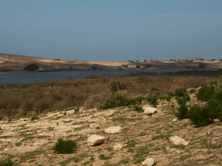 Tamraght Morocco: Things to Do, Local Guide & Hidden Gems